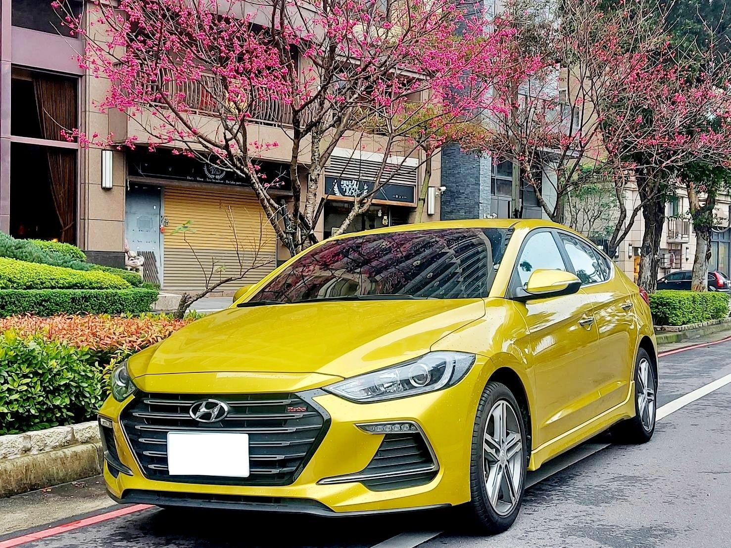 Hyundai Elantra 2019年二手車 61.8萬 新北市-黑駒車庫 | 8891汽車