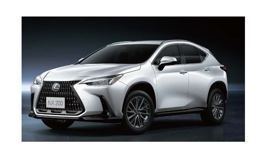 2019年 Lexus NX200 2萬公里|台中市
