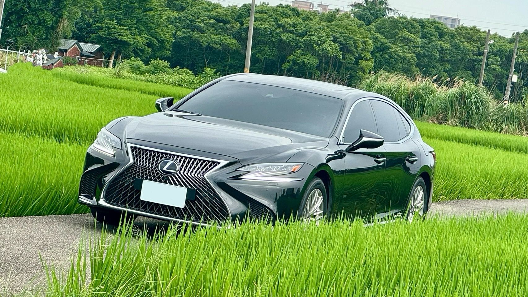 Lexus LS 2018年二手車 166.8萬 桃園市-喬姐的樂成車庫 | 8891汽車